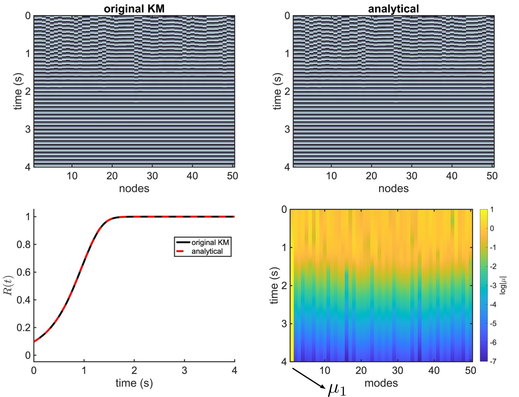 GitHub - mullerlab/complex-kuramoto